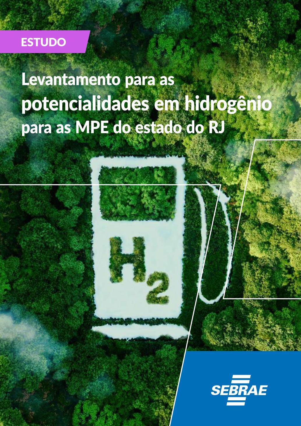 Biblioteca Interativa Sebrae